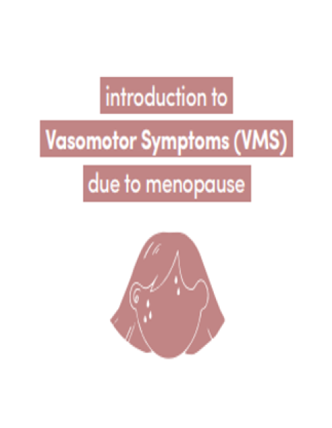 Mechanism of VMS Video